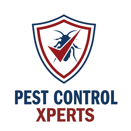 Texas Rodent Control: Keeping Rats and Mice Away - Seguin Pest Control ...